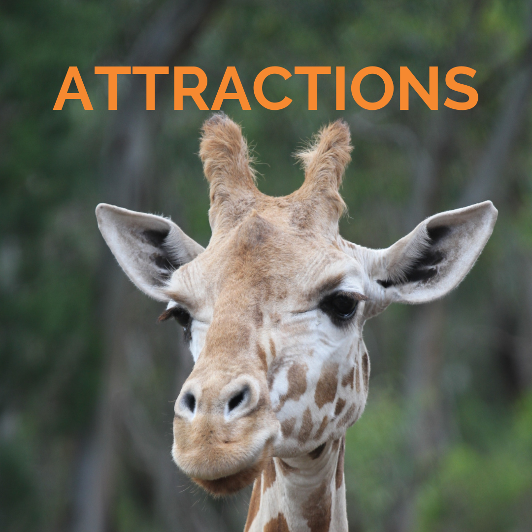 Ticketing and Booking Software Attractions and Activity Providers